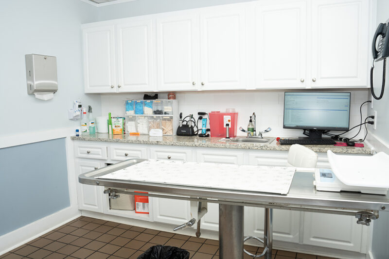 Clinic Tour - Tampa, FL - Veterinary Medical Clinic & Feline Wellness