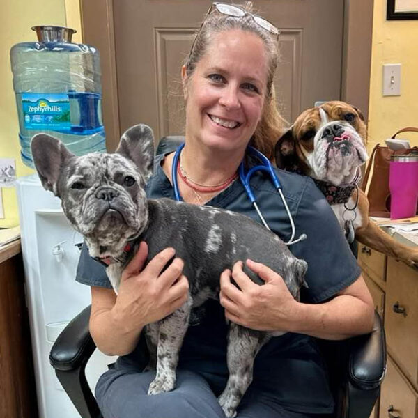 Meet Our Veterinarians - Tampa, FL - Veterinary Medical Clinic