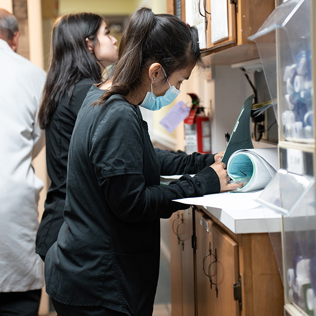 Veterinary Services - Tampa, FL - Veterinary Medical Clinic